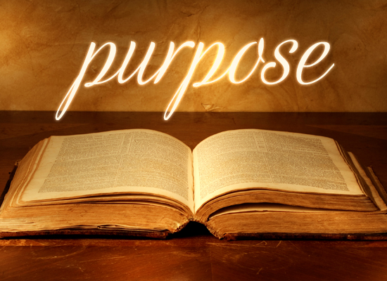 purpose1 – Eptalofos.gr
